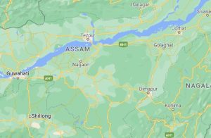 25 Best Business Ideas In Assam For 2026