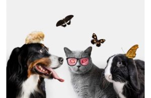 Ultimate List of 70+ Best Telegram Group Links in 2026